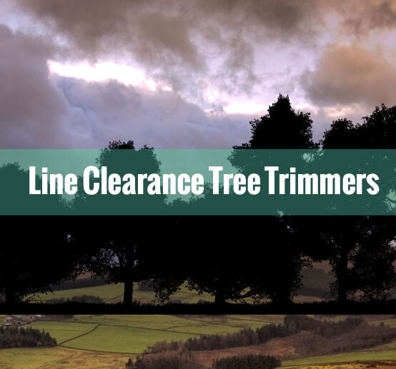Line Clearance Tree Trimmer Agreement Ratified / Ratificación del ...