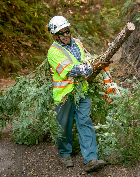 In The Clear — IBEW 1245 tree trimmers work to reduce the risk of wildfires