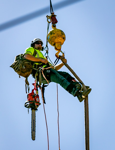In The Clear — IBEW 1245 tree trimmers work to reduce the risk of wildfires