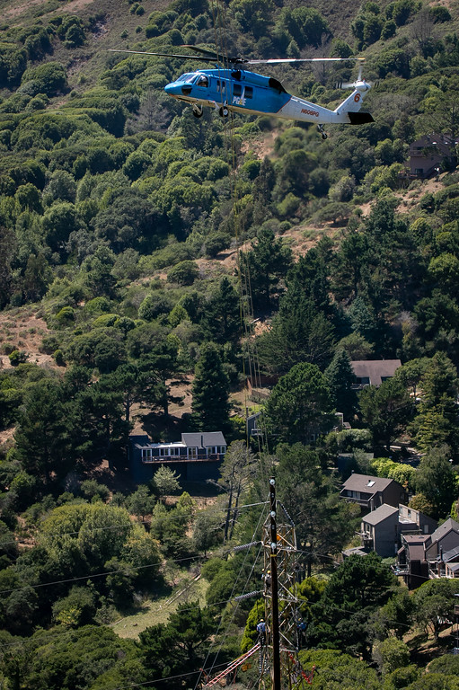 “Karl the Fog” And a Sausalito Shoo Fly
