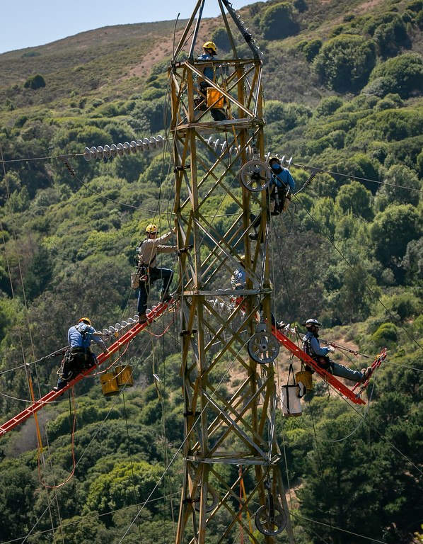 “Karl the Fog” And a Sausalito Shoo Fly
