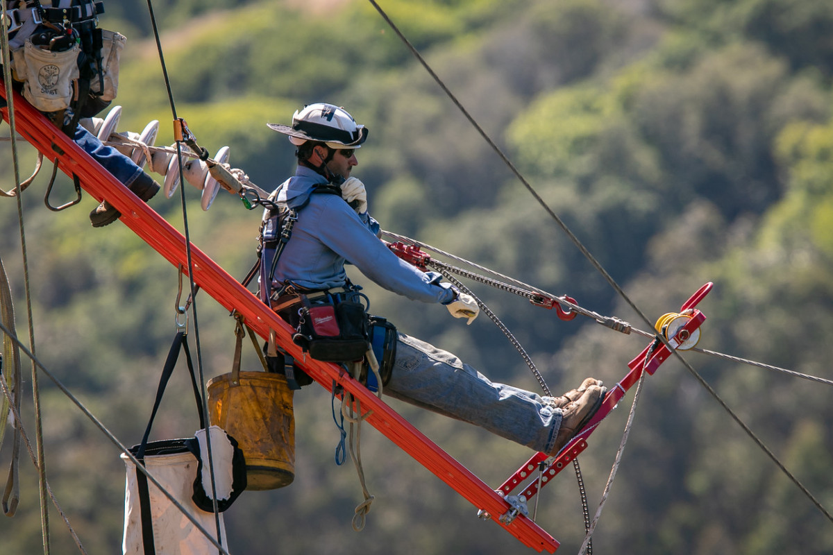 “Karl the Fog” And a Sausalito Shoo Fly