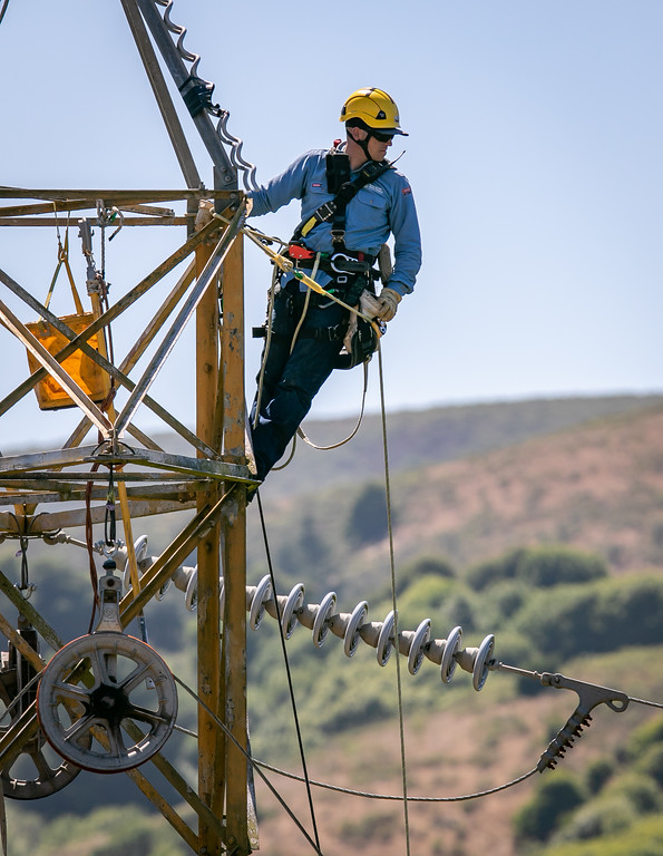 “Karl the Fog” And a Sausalito Shoo Fly