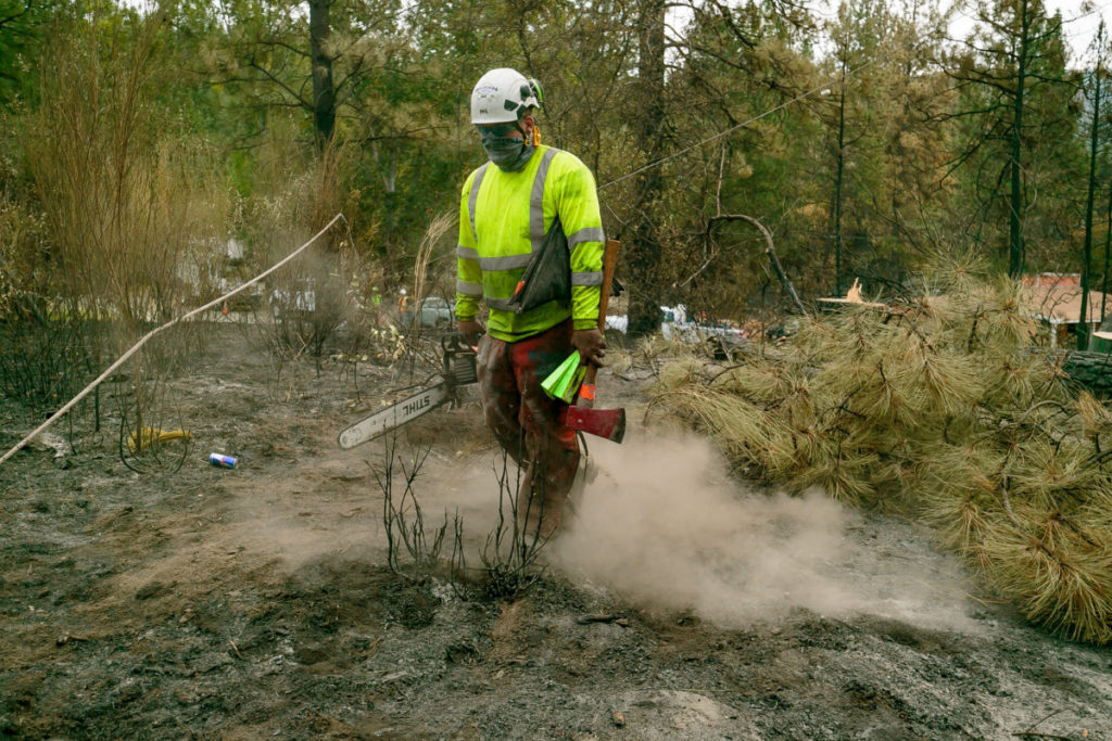 “Hazard Trees Everywhere” — IBEW 1245 line clearance tree crew at work ...