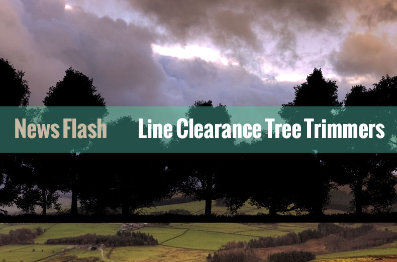 Tentative Agreement Reached for Line Clearance Tree Trimmers / Acuerdo ...