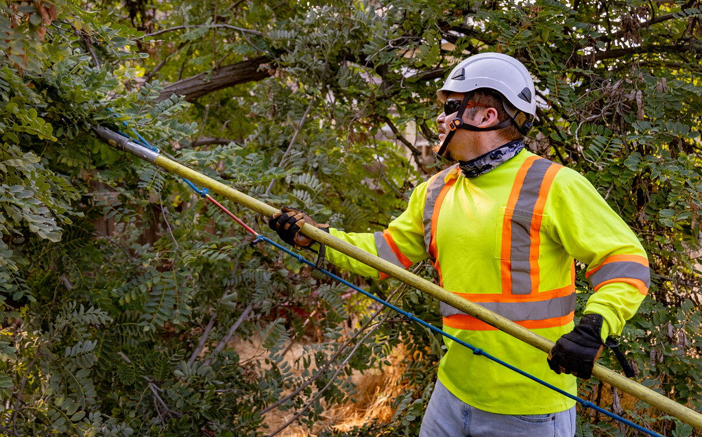 “Moving Up and Forward” — Spotlight on IBEW 1245 Line Clearance Tree ...