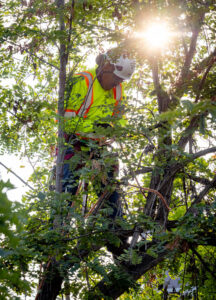 IBEW1245 – The power is in our hands