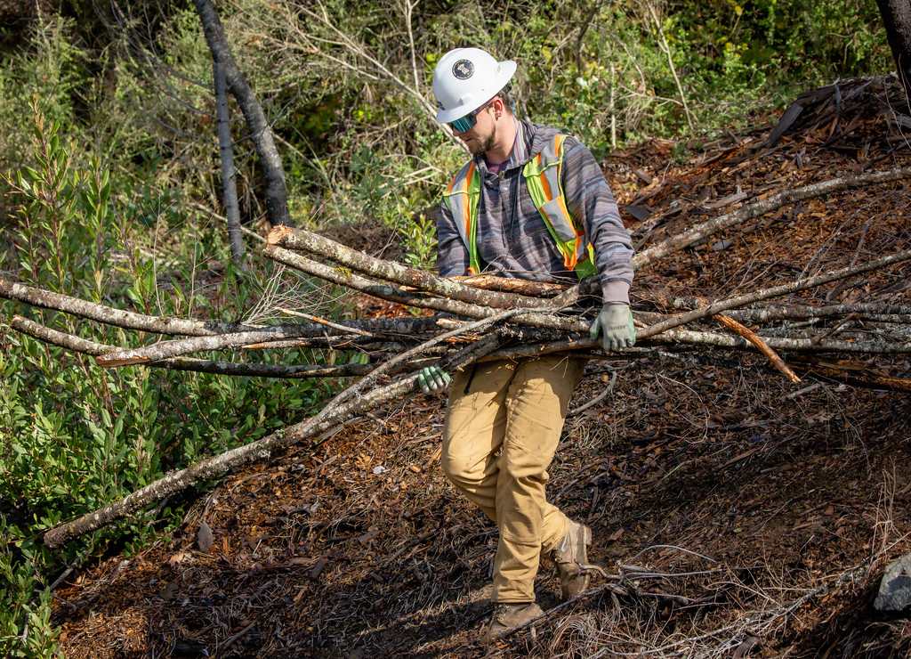 Working Up The Hill — IBEW 1245 Line Clearance Tree Trimmers top trees ...
