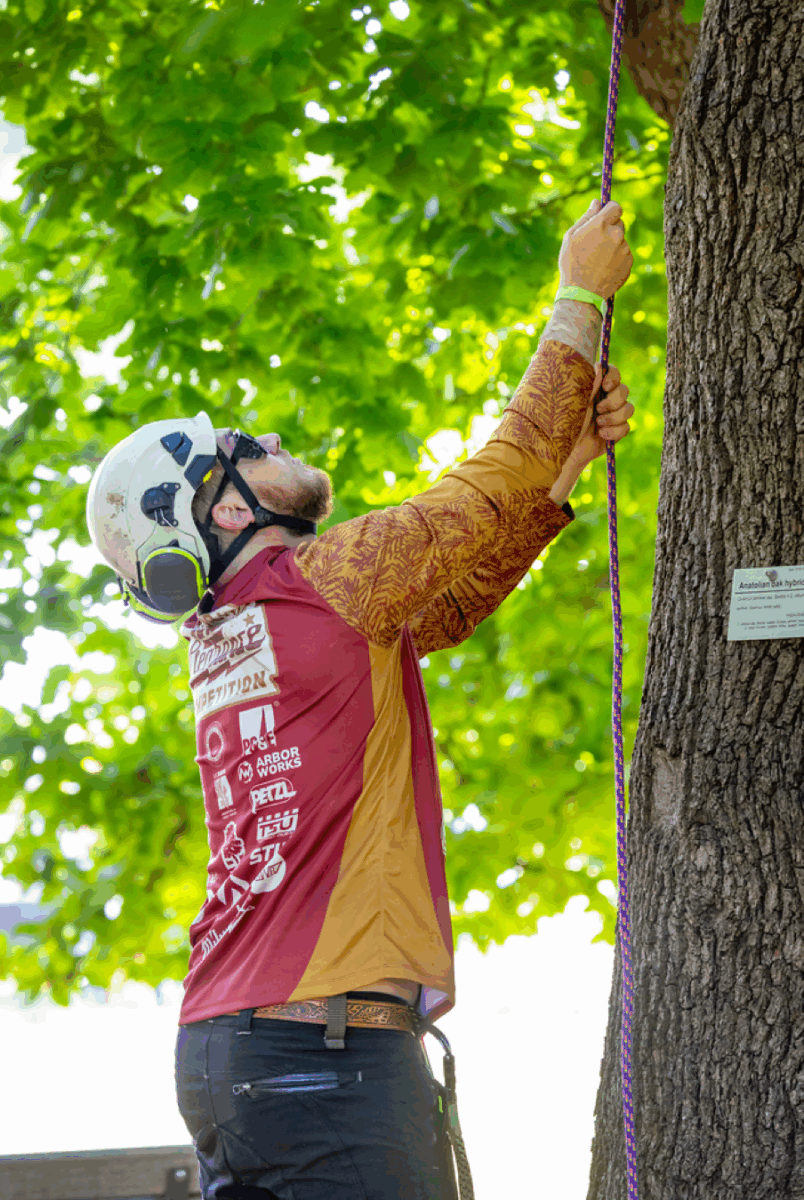 Line Clearance Tree Trimmers (LCTT) Showcase Their Craft & Skills