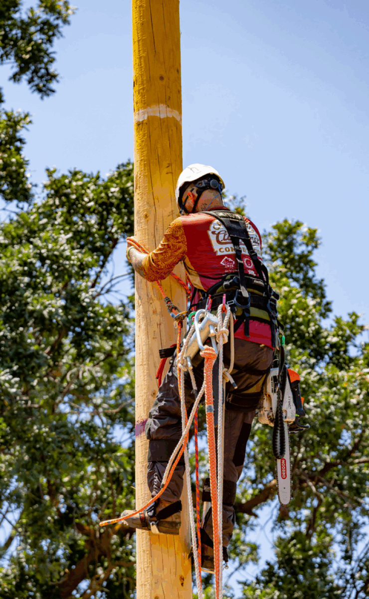 Line Clearance Tree Trimmers (LCTT) Showcase Their Craft & Skills