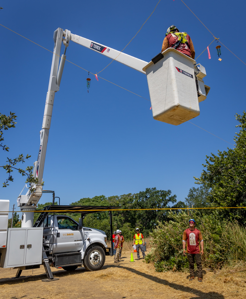 Line Clearance Tree Trimmers (LCTT) Showcase Their Craft & Skills