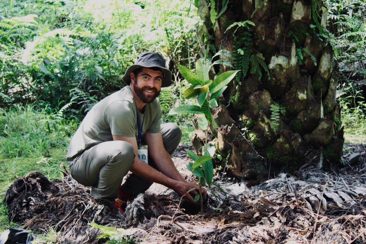 1245 Member Master Arborist Sees the World Through the Trees