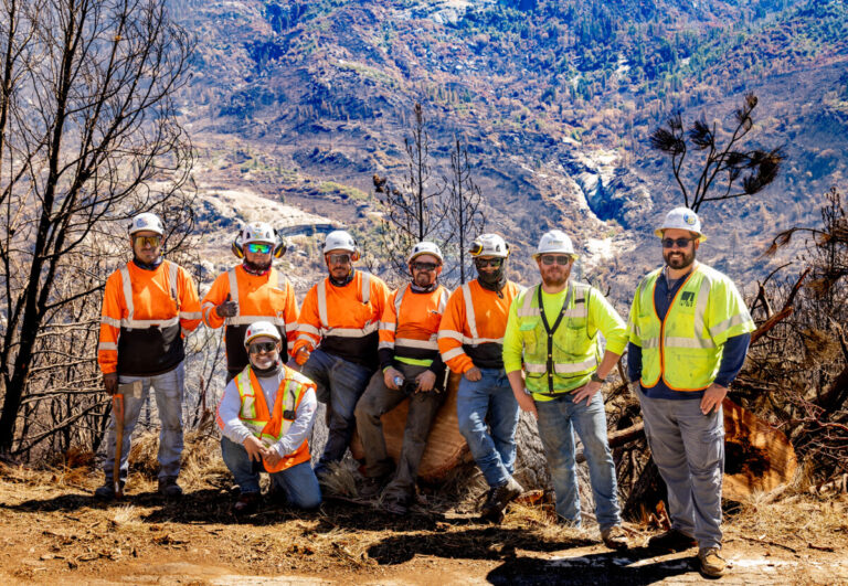 IBEW 1245 Tree Crews Play Critical Role in Garnet Fire Recovery